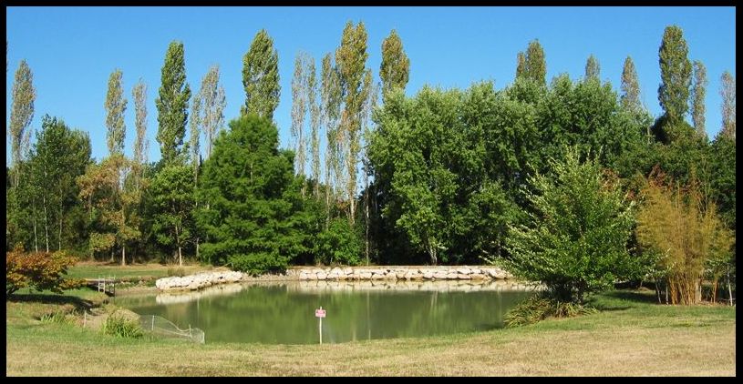 calicoba ou perche du soleil