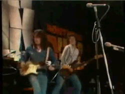 Les gifs de Rory (Rory's Gifs)