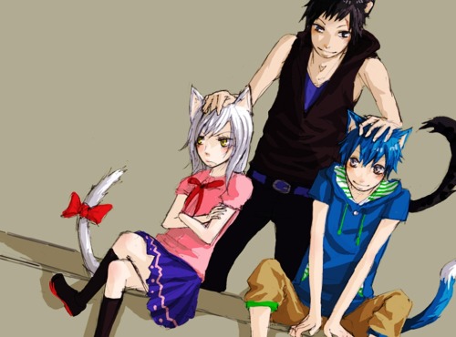 Neko Gallery :3