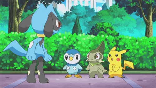 Riolu Party(!!)