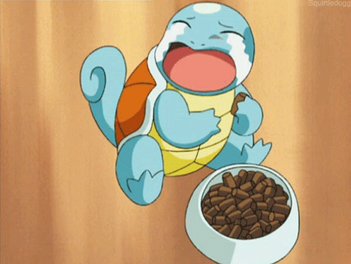 Squirtle Crying Gif