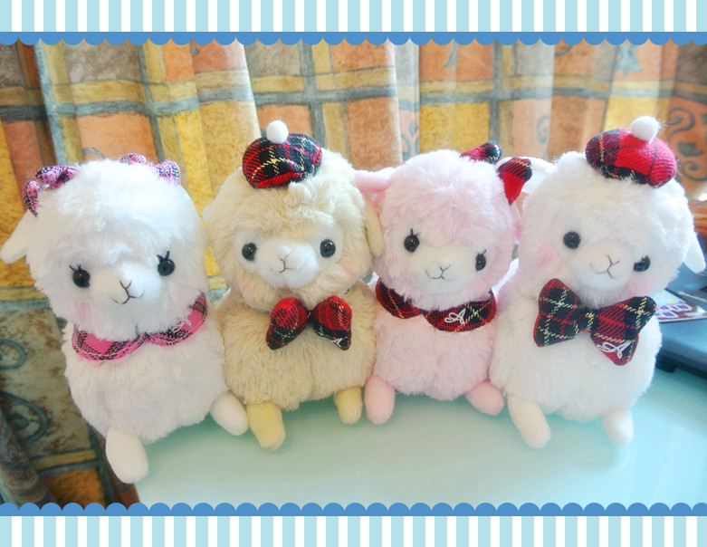 Alpacasso Pirate