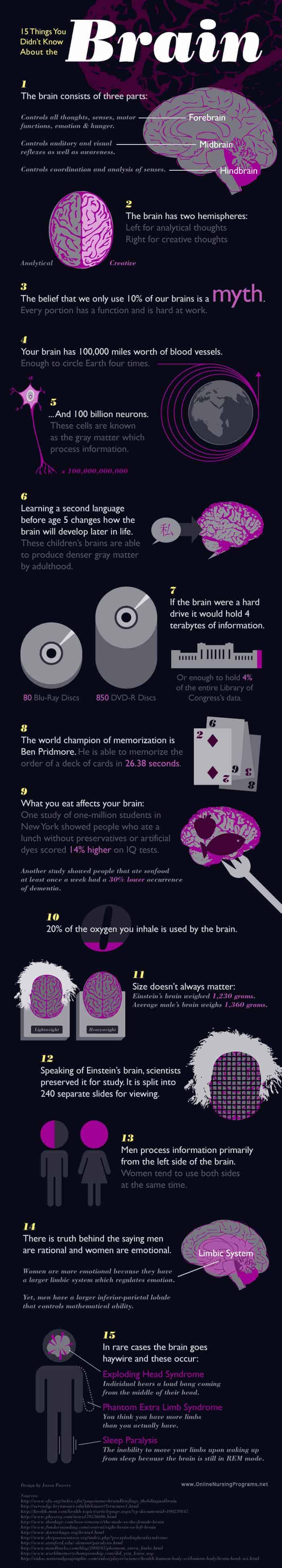 Interesting Facts about the Brain