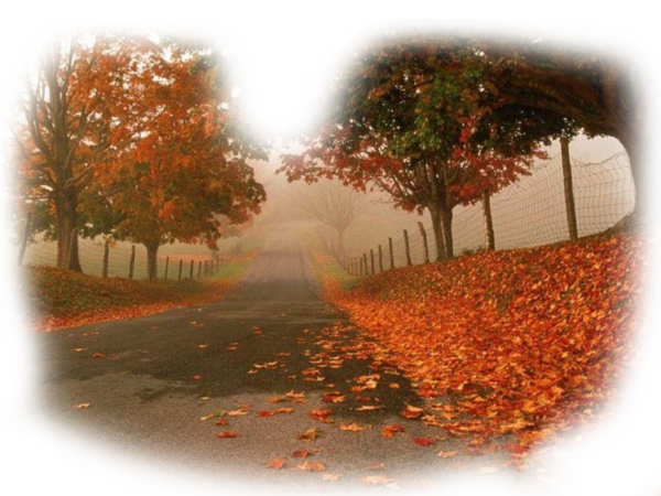 Imagenes Difuminadas.....
