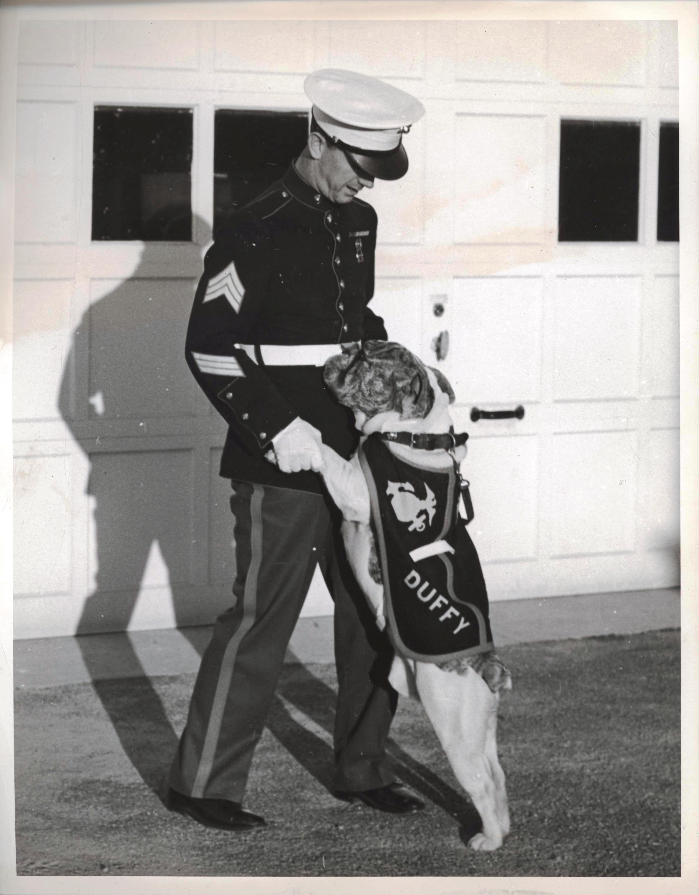 Le bulldog de l'USMC : Histoire d'un symbole