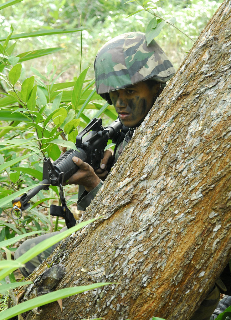 Malaysian Armed Forces (MAF) - Page 9