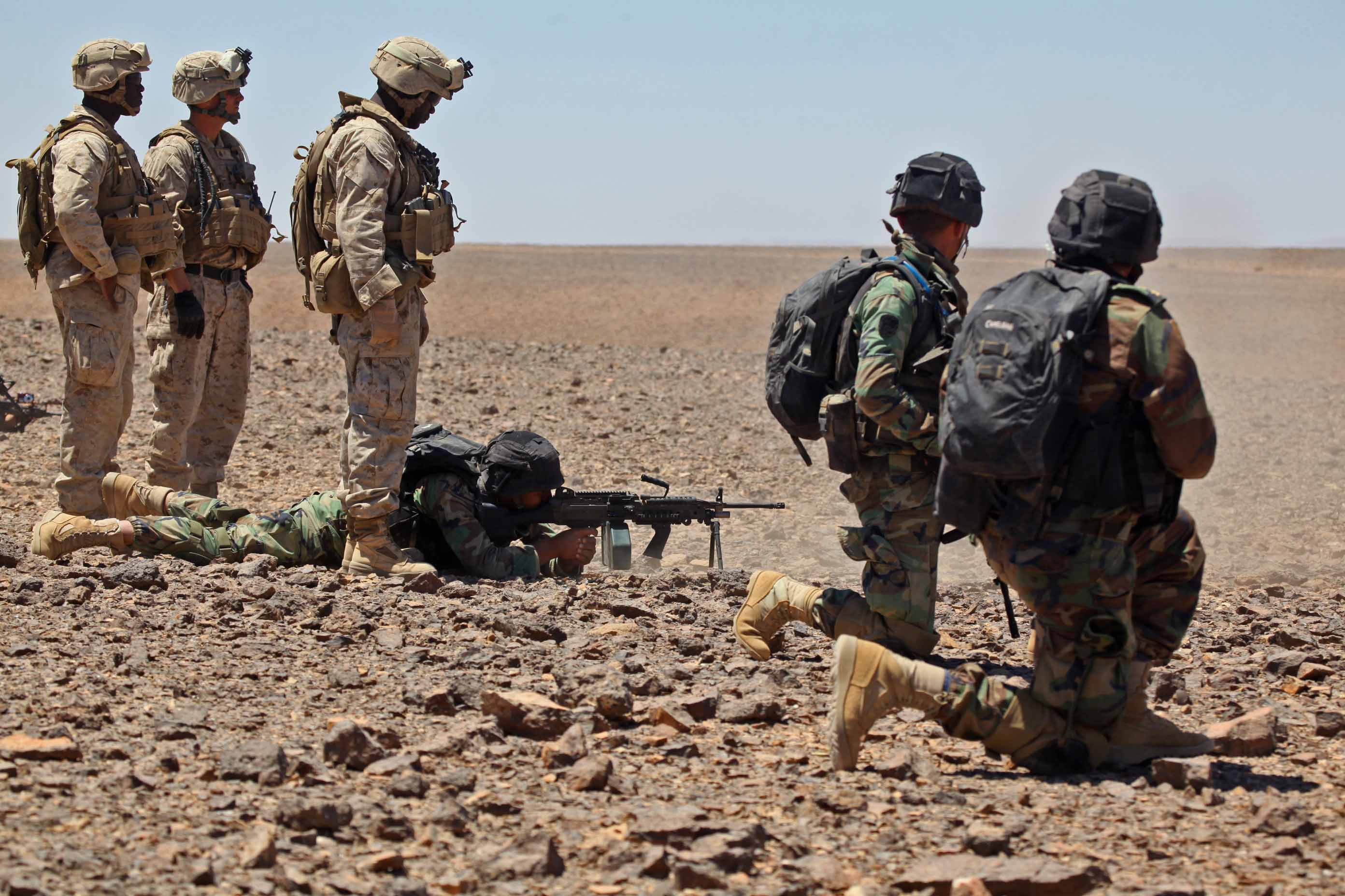 Armée Libanaise / Lebanese Armed Forces (LAF) / القوات المسلحة ...
