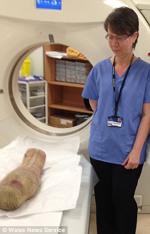 The mummified FOETUS: Scans reveal tiny ancient Egyptian sar