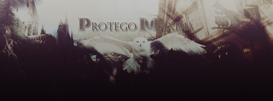 Protego Maxima
