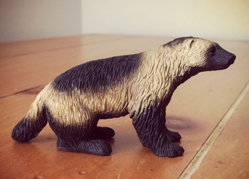 Mojo pictures on Toy Animal Wiki