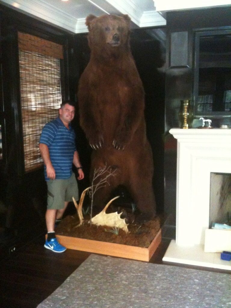 Brown Bear | Modern Muzzleloader Muzzleloading Forum