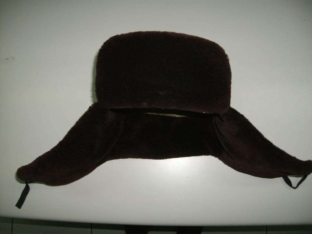 Chinese Winter cap?