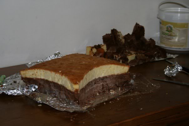 Toni's Pillow Cake Tutorial