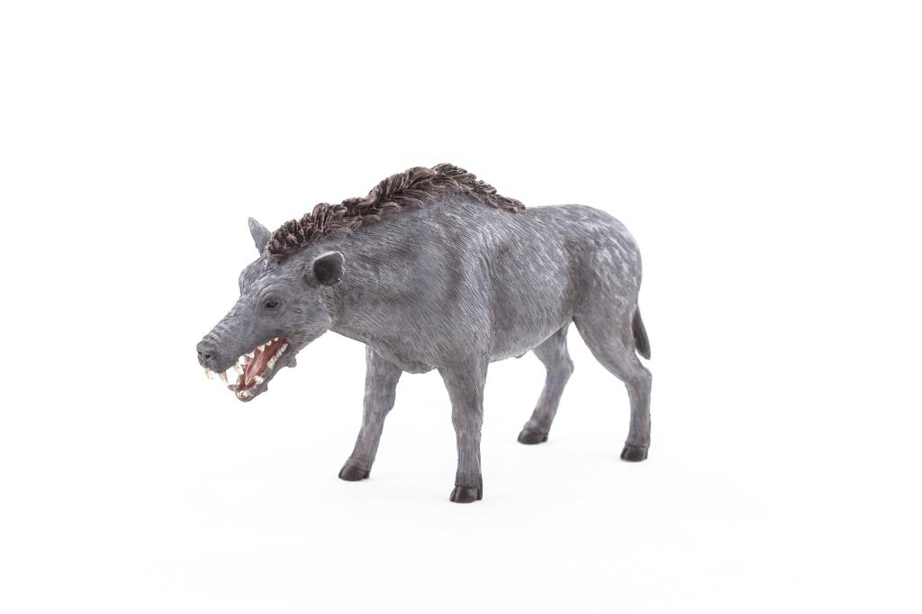 Presentation: MOJO FUNN 2013 Entelodont Daeodon