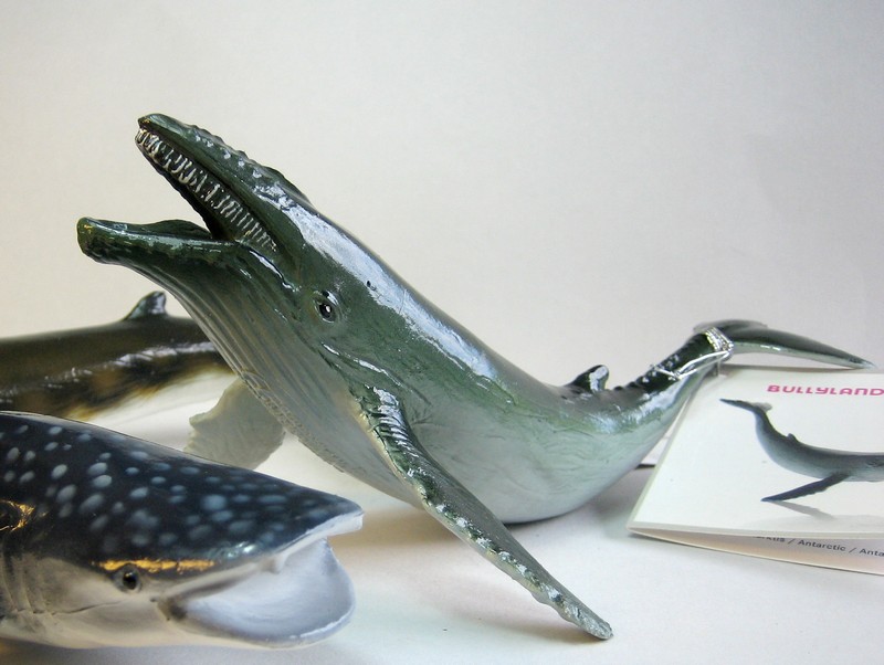 The new Bullyland cats, whales, some horses ...and a VERY unusual king