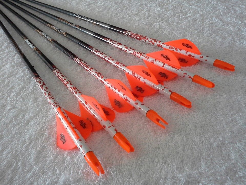 Arrow wraps Fernando Sencadas e torre para vanes Bohning blazer helical