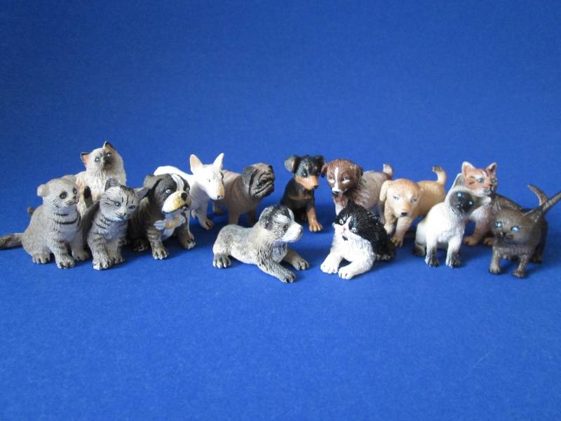 Wing Mau Puppies