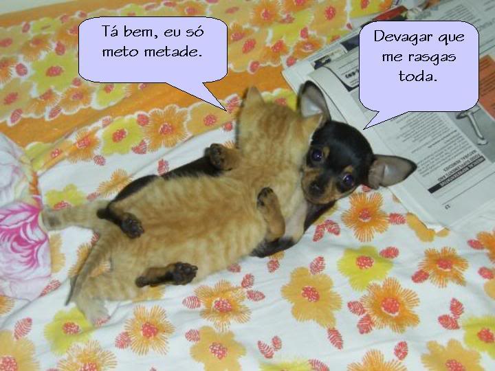 Imagens Comicas
