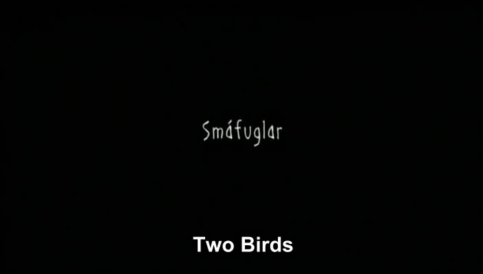 Smáfuglar (2008) - Rúnar Rúnarsson