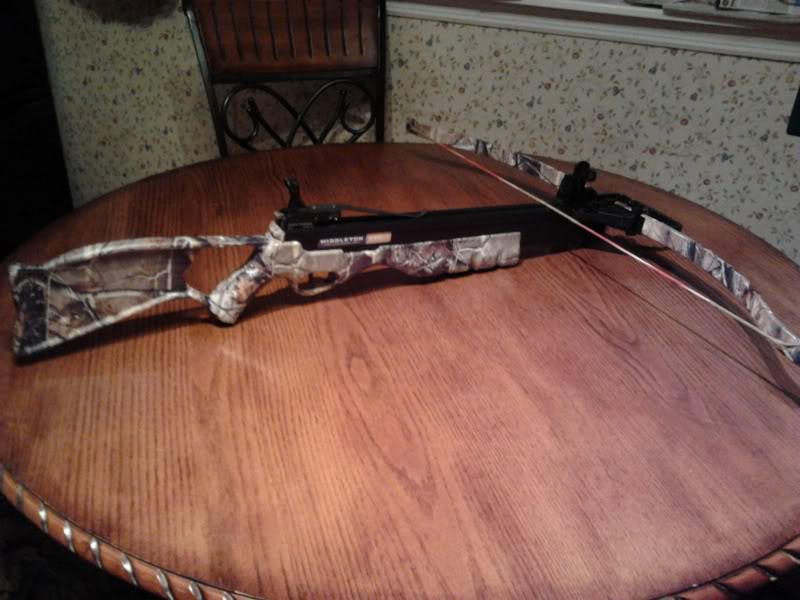 Modern Recurve Crossbow