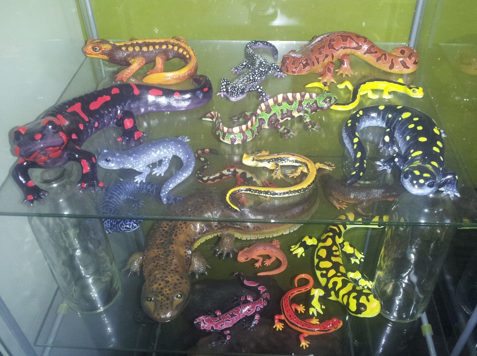Some of my Salamander figures.