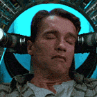 GIFs