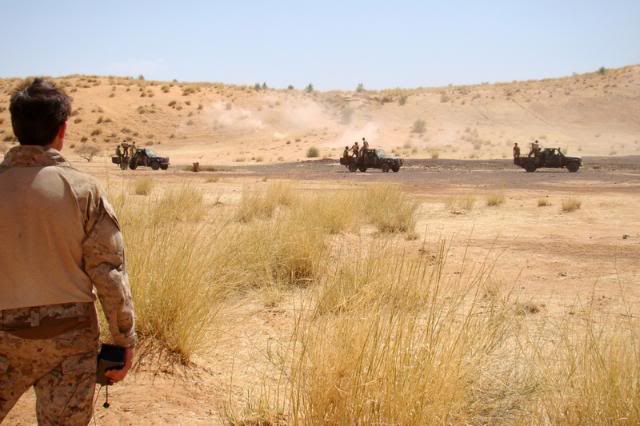 AOR1/Digi2 NSW/DEVGRU Exclusive desert camouflage by Crye Precision
