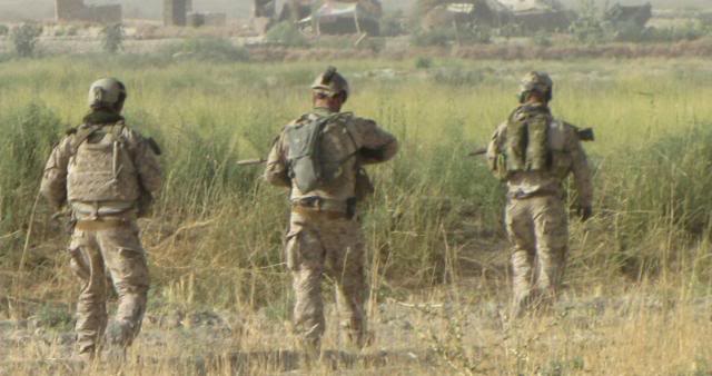 AOR1/Digi2 NSW/DEVGRU Exclusive desert camouflage by Crye Precision