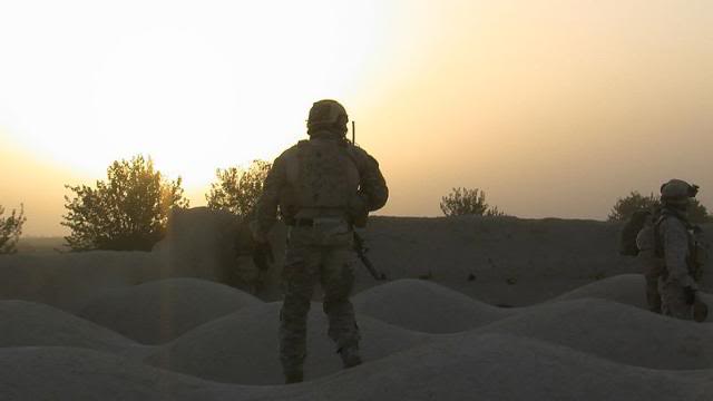 AOR1/Digi2 NSW/DEVGRU Exclusive desert camouflage by Crye Precision