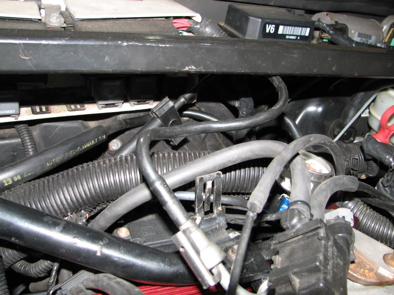 Write-Up: SS Braided Fuel Lines