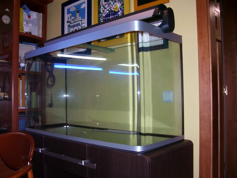 Nuevo fluval Osaka de Chechu.