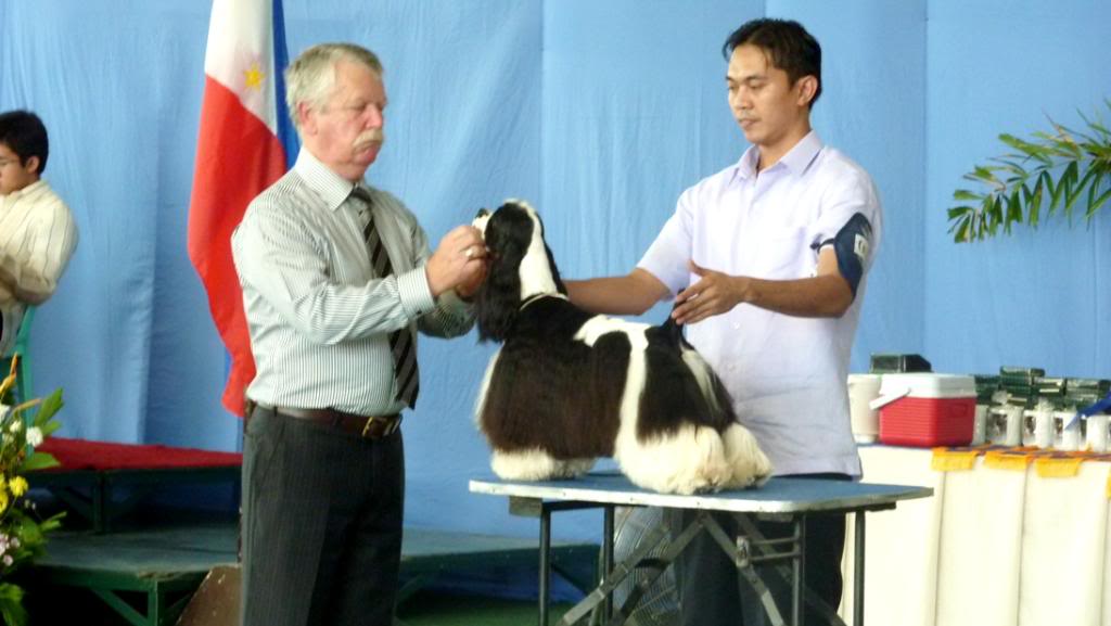 AMERICAN COCKER SPANIELS DITO PO TAYO - Page 16