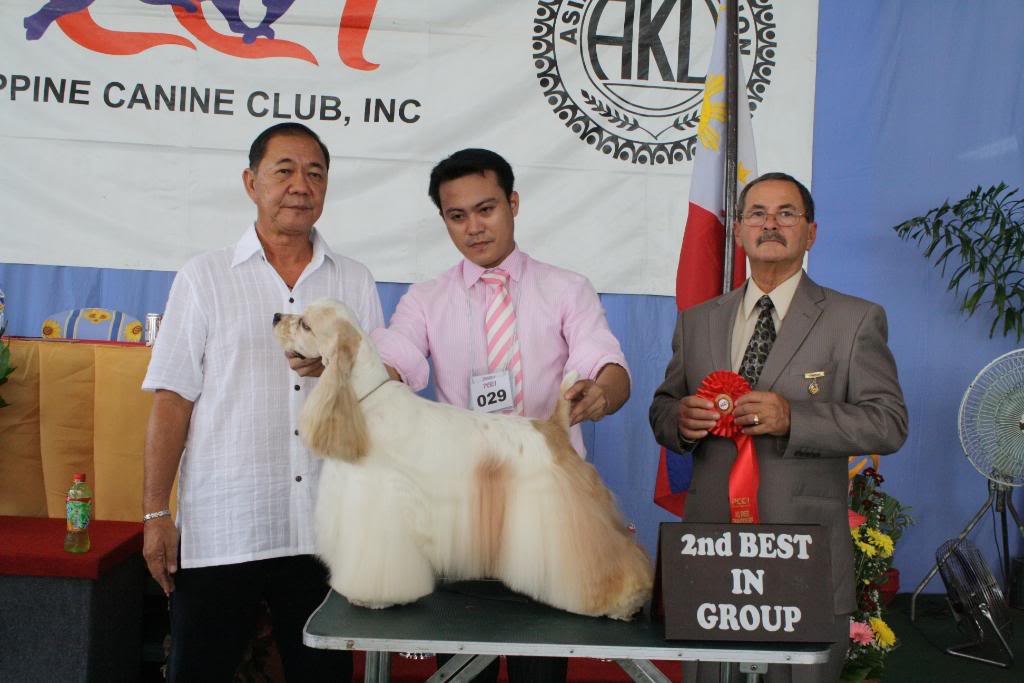 AMERICAN COCKER SPANIELS DITO PO TAYO