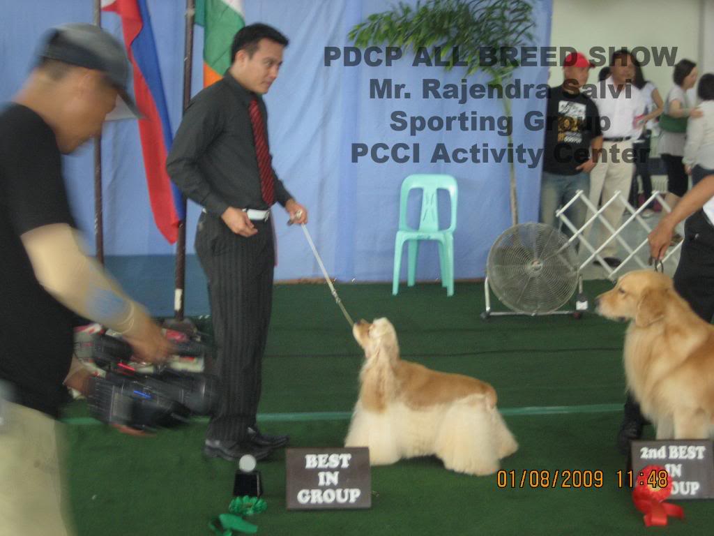 AMERICAN COCKER SPANIELS DITO PO TAYO - Page 16
