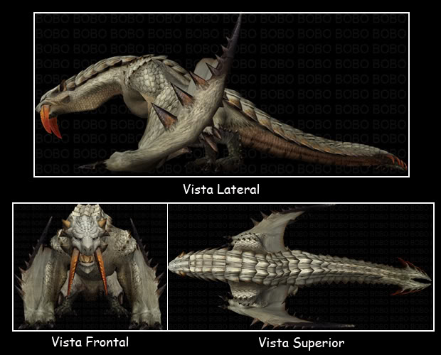 [Info] Barioth