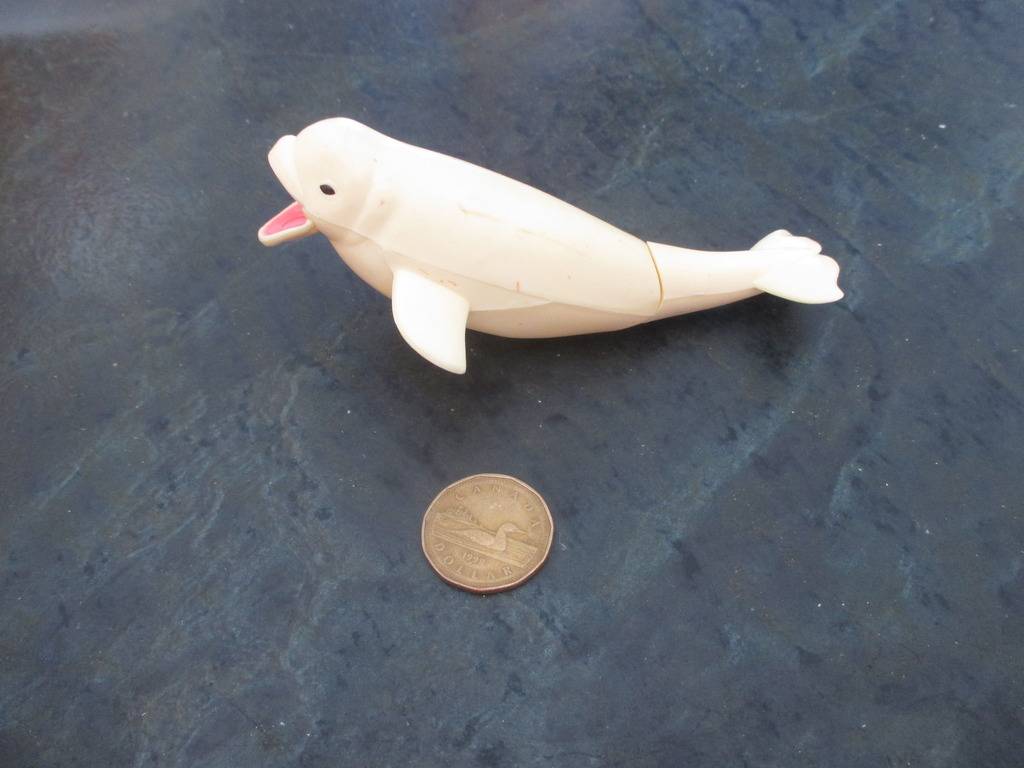 K&M weird Beluga whale...