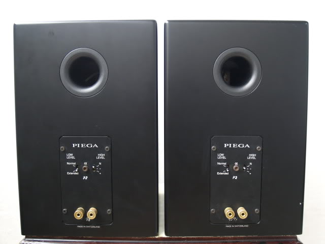 Piega P2 Speaker。 （Used。）