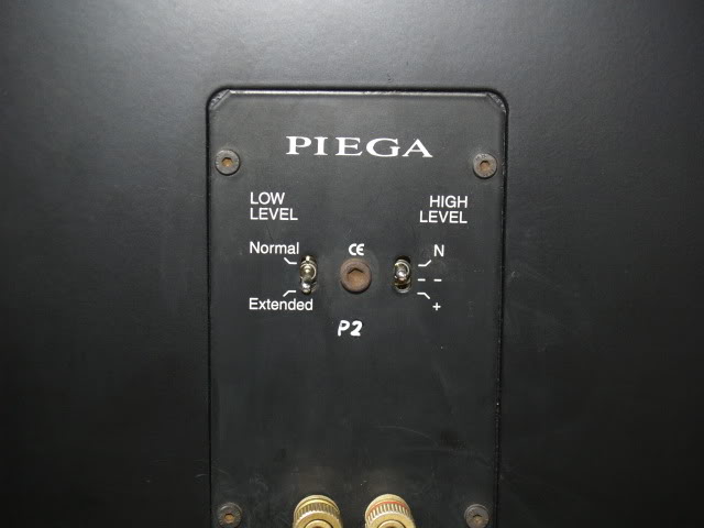Piega P2 Speaker。 （Used。）
