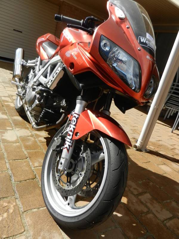 SV650 Track Bike