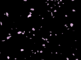 Tutorial efecto petalos gif