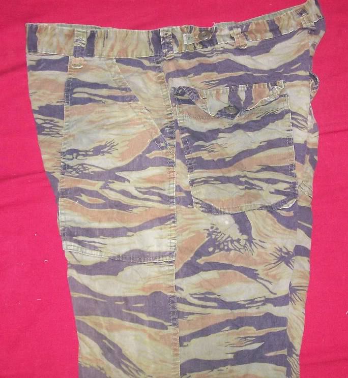 Tiger pant