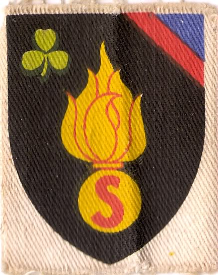 Belgian Army Insignia