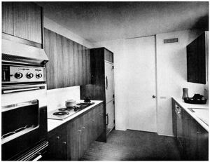 Case Study House #25 - Frank House by SimCeleste