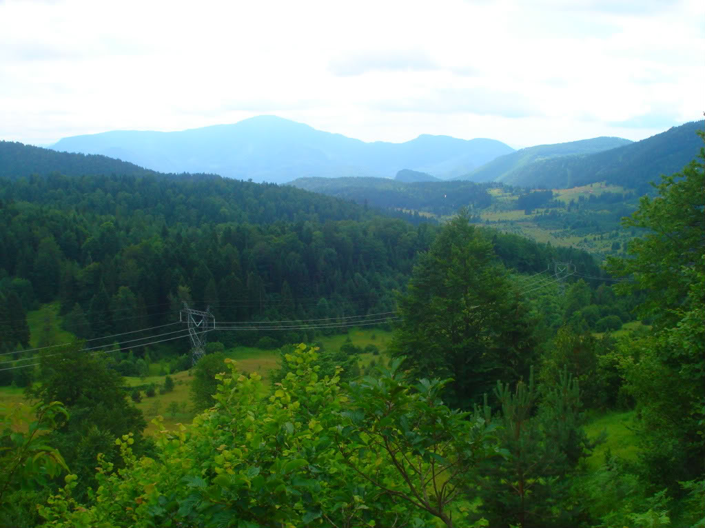 SLIKE POTOCARA