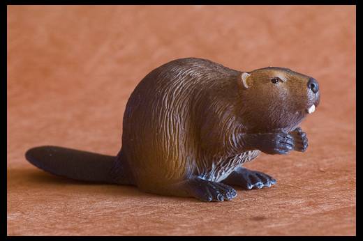 Mojo pictures on Toy Animal Wiki
