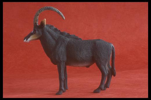 Mojo pictures on Toy Animal Wiki
