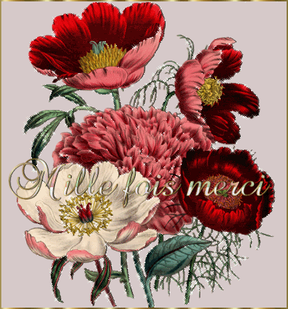 Section Merci en images