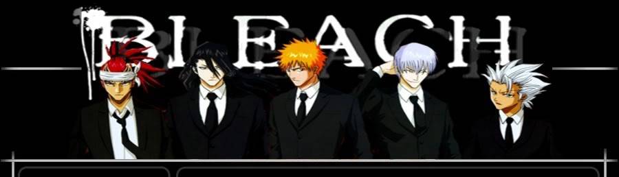 BLEACH: general