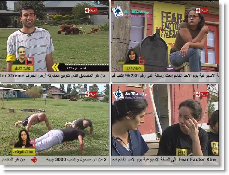 جميع حلقات Fear Factor Extreme ارض الخوف متجدد يومياا