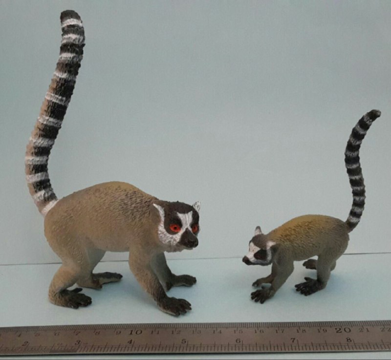 Lemurs, civet and other unclassified animals (maybe nayab?)